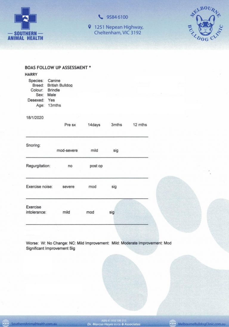 Harry BOAS Follow Up Assessment Form - Melbourne Bulldog Clinic